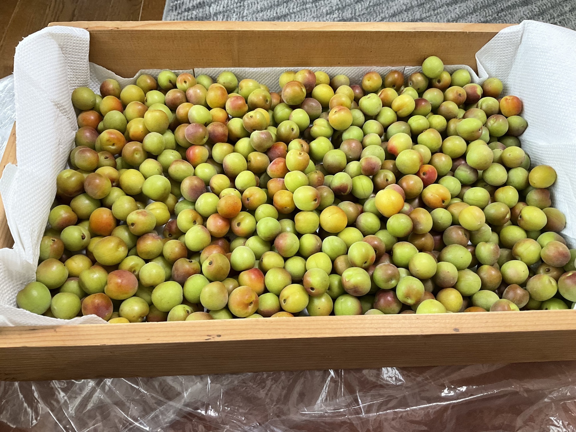 小梅干し 追熟5日目: Chiechan's Style