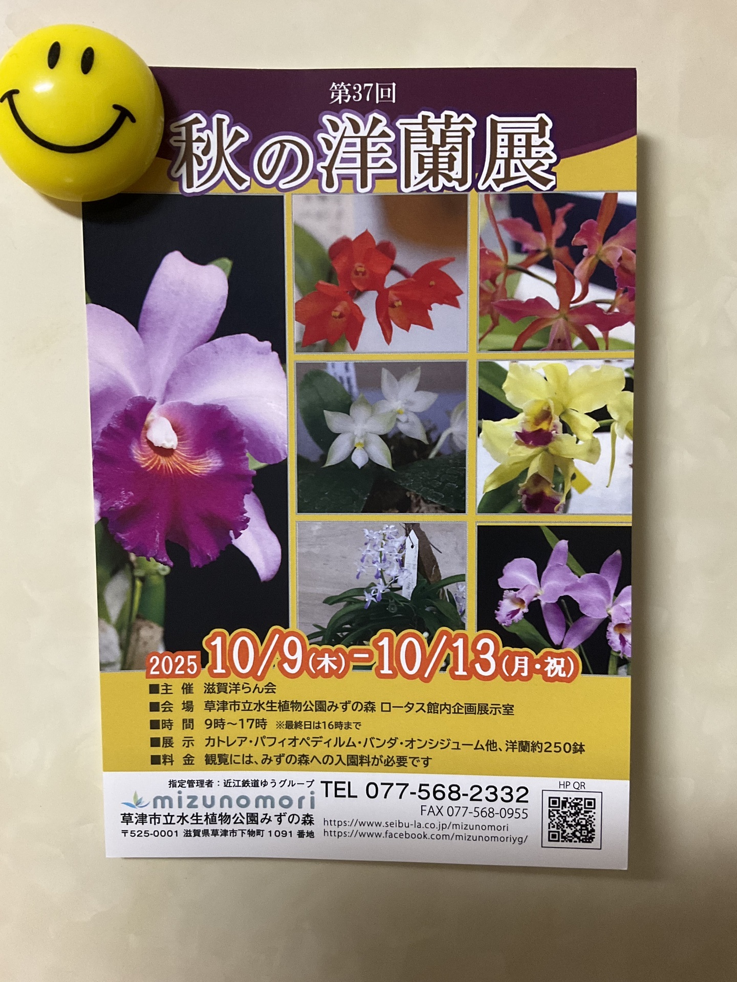 明日から『秋の洋蘭展』: Chiechan's Style